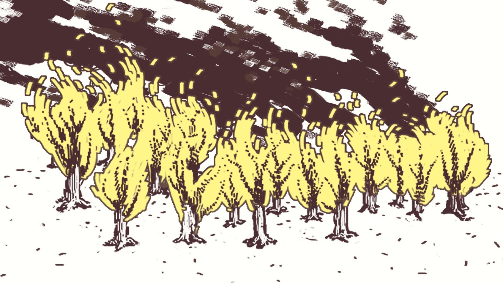 The siege explained on a map - News | Terra de Direitos