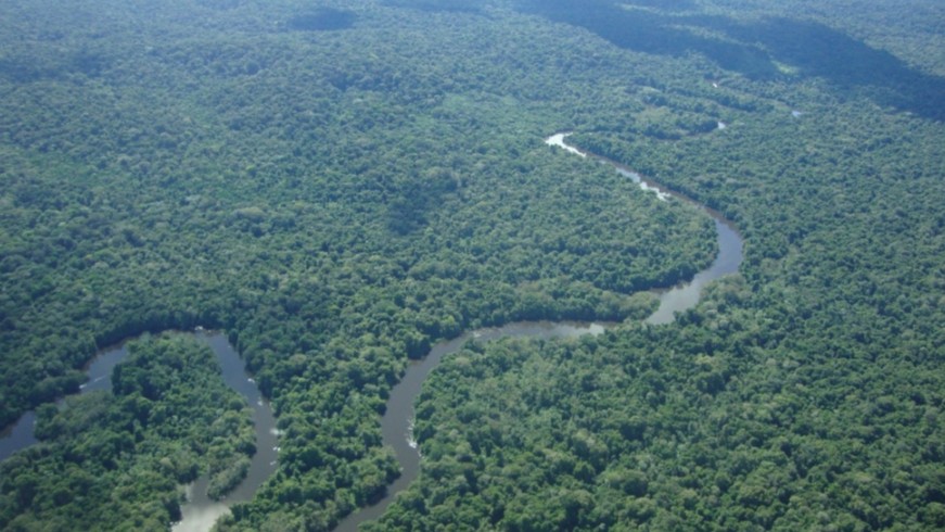While Brazilian Amazon burns, Supreme Court ruling keeps 57,000 ...